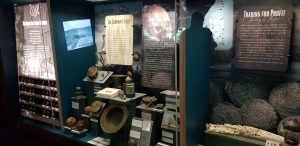 The Batavia and its many stories - New research challenges the Batavia ...