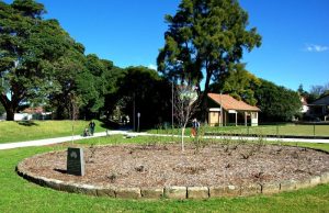 Sparrow Force - Allied guerrilla force in Timor WWII - Dutch Australia ...