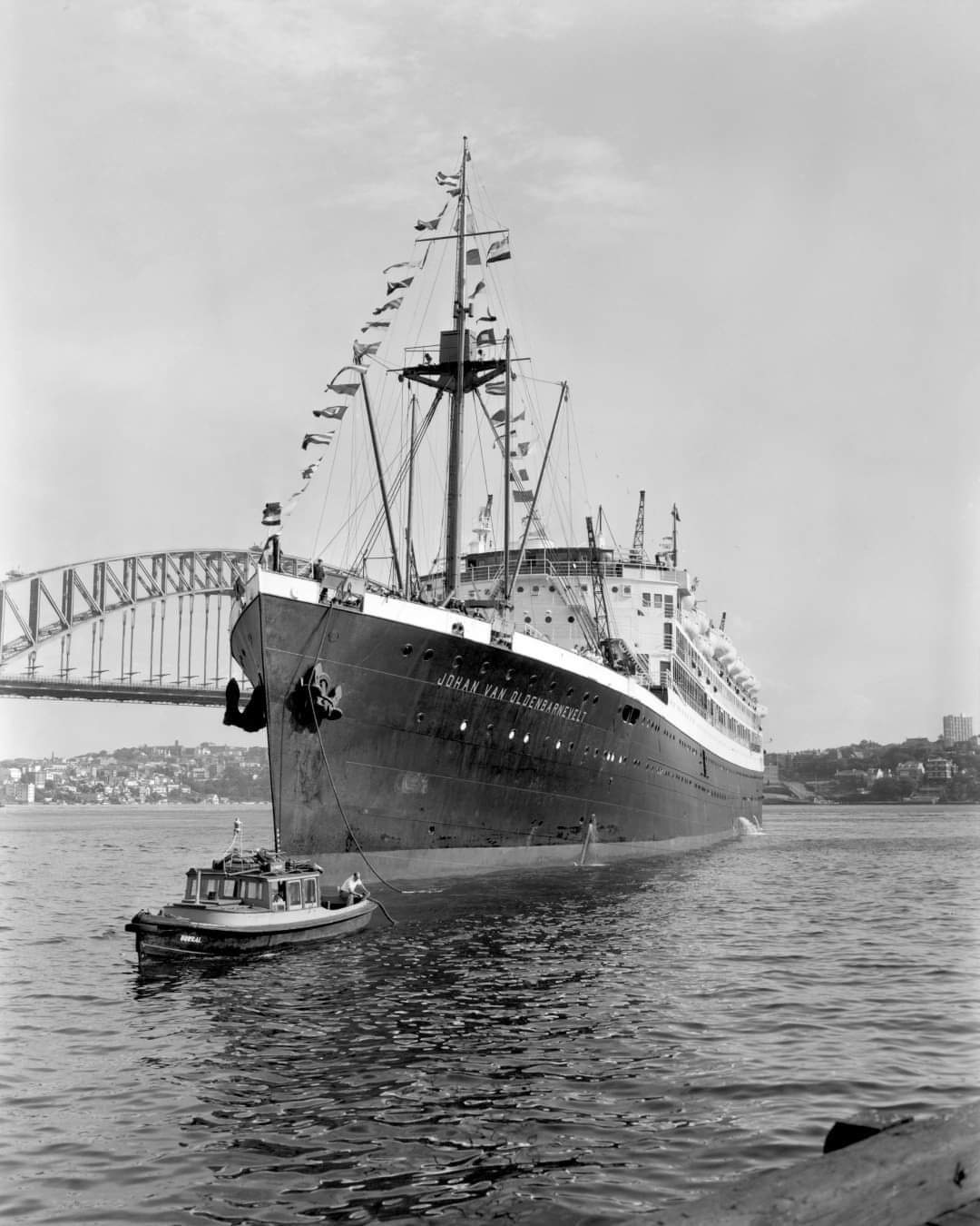 Dutch immigrant ship Johan van Oldenbarnevelt - Gallery added - Dutch Australia Cultural Centre