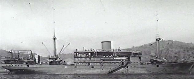 Dutch Merchantman Maetsuyker: From Escape to Hospital Ship in World War ...