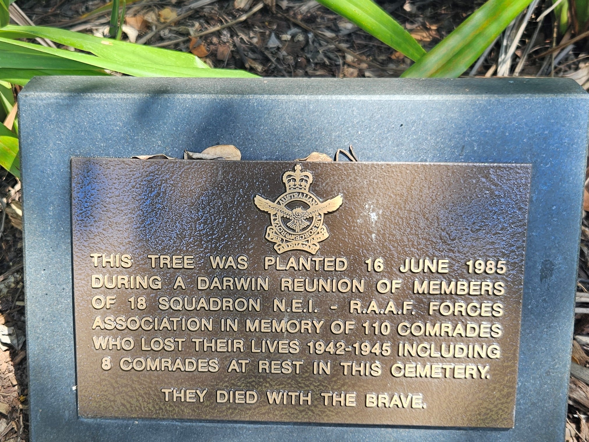 Dutch WWII Casualties from air operation from the Northern Territory ...