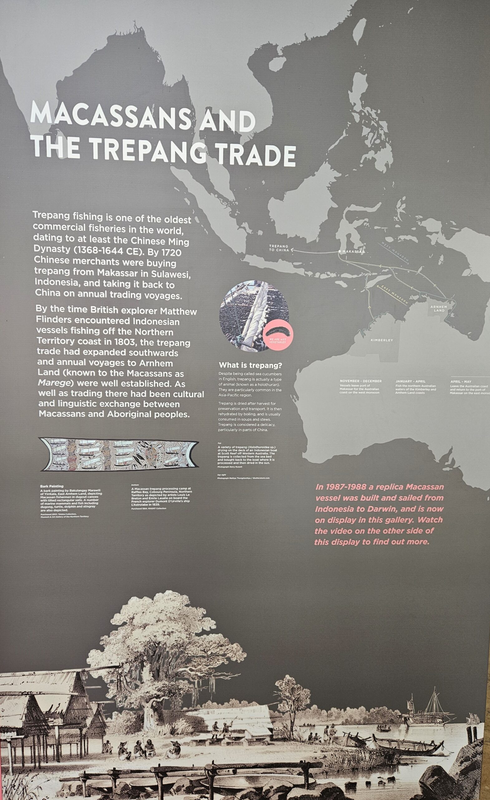 Overfishing and Dutch regulations saw an increase of Makassar fisherman ...