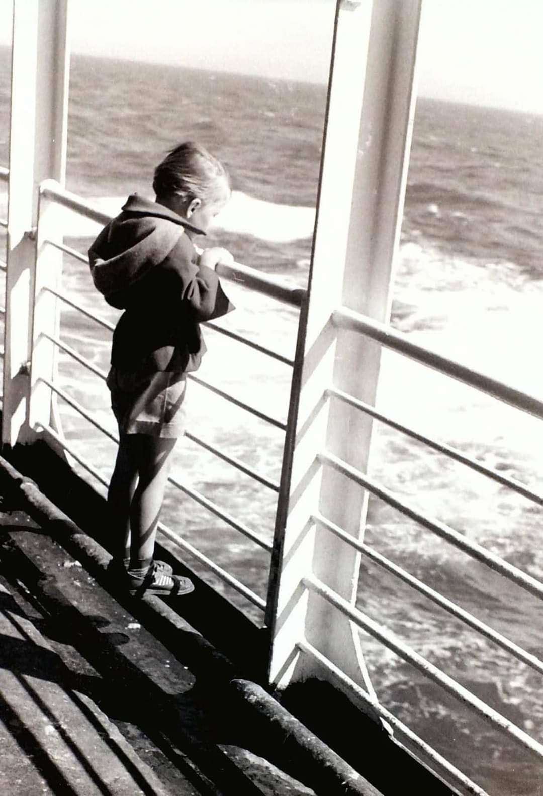 SS Groote Beer - From Troop Transport to Emigrant Ship - Dutch ...