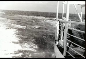 SS Groote Beer - From Troop Transport to Emigrant Ship - Dutch ...