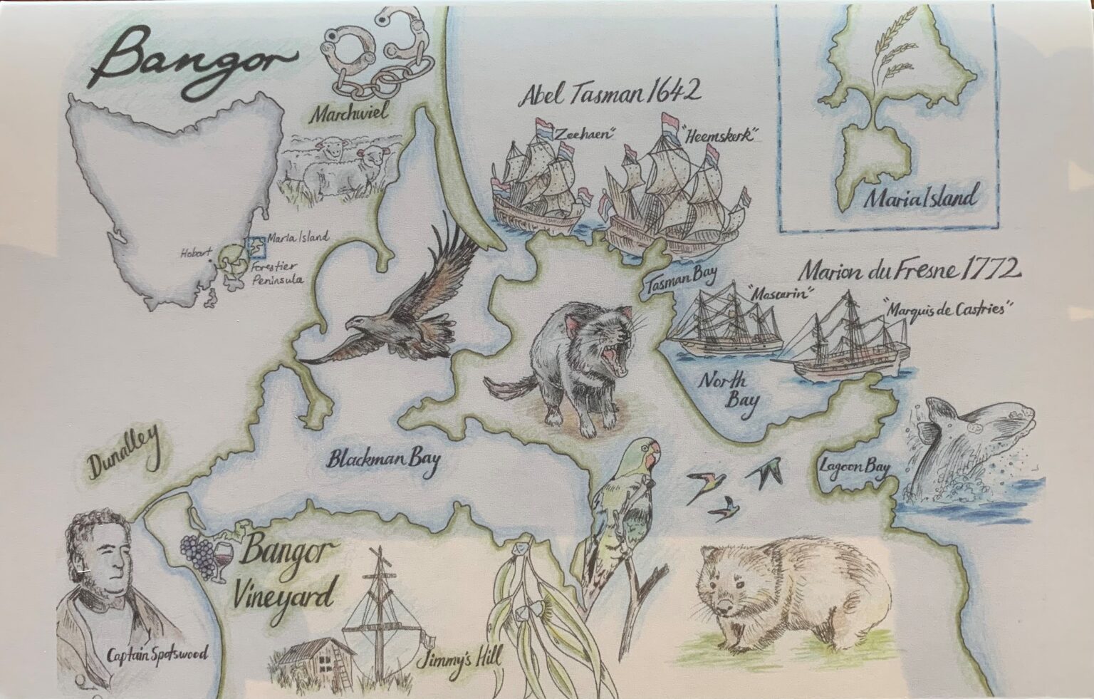 Abel Tasman Landing Site - Tasmania 1642 - Dutch Australia Cultural Centre