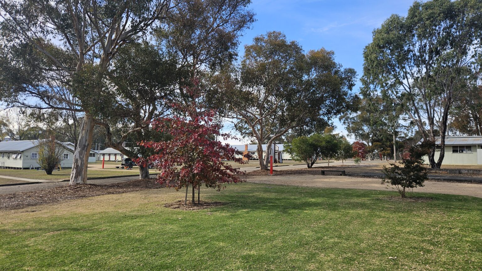 Bonegilla the largest migrant camp - 18.000 Dutch people passed through ...