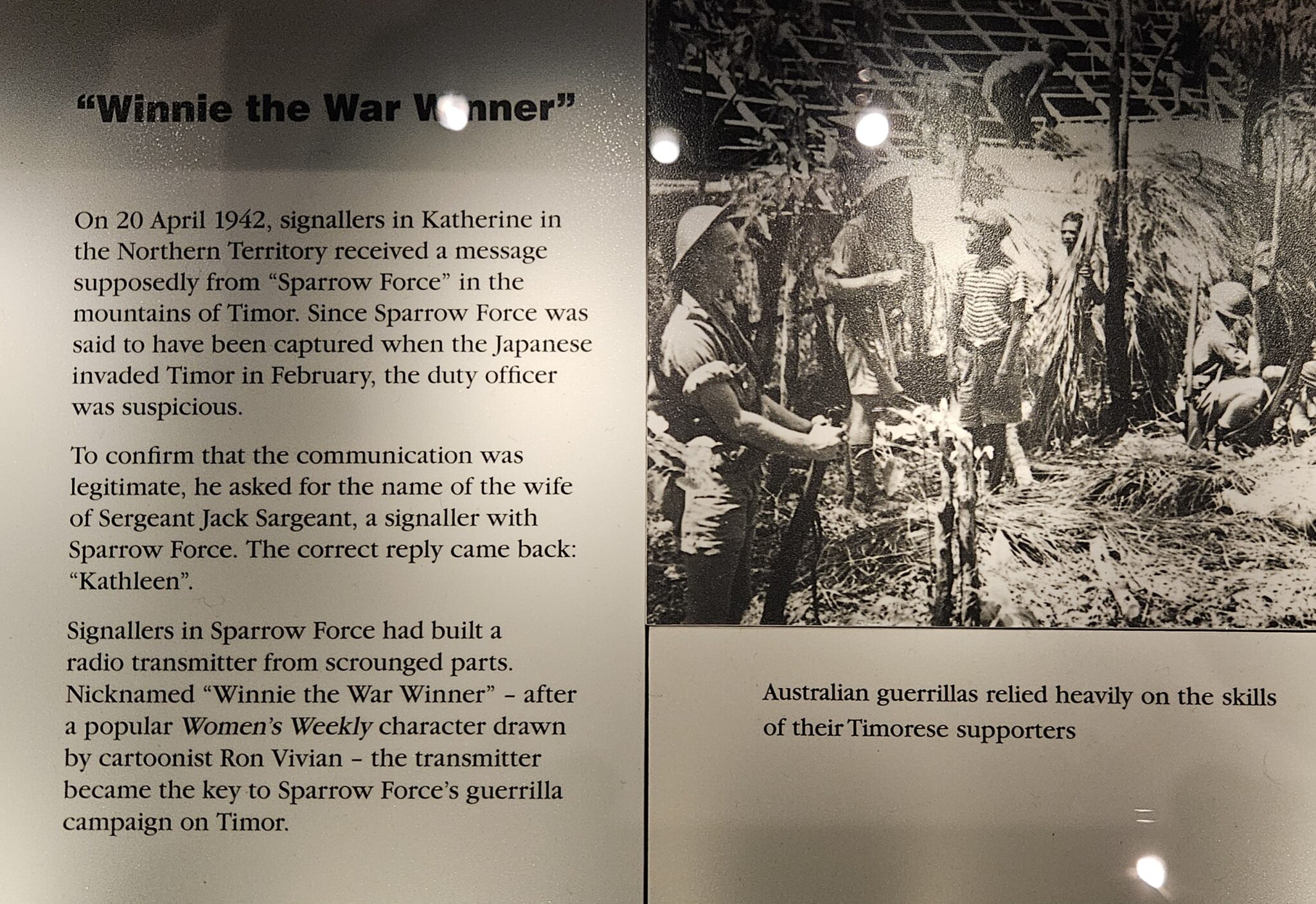 Sparrow Force - Allied guerrilla force in Timor WWII - Dutch Australia ...