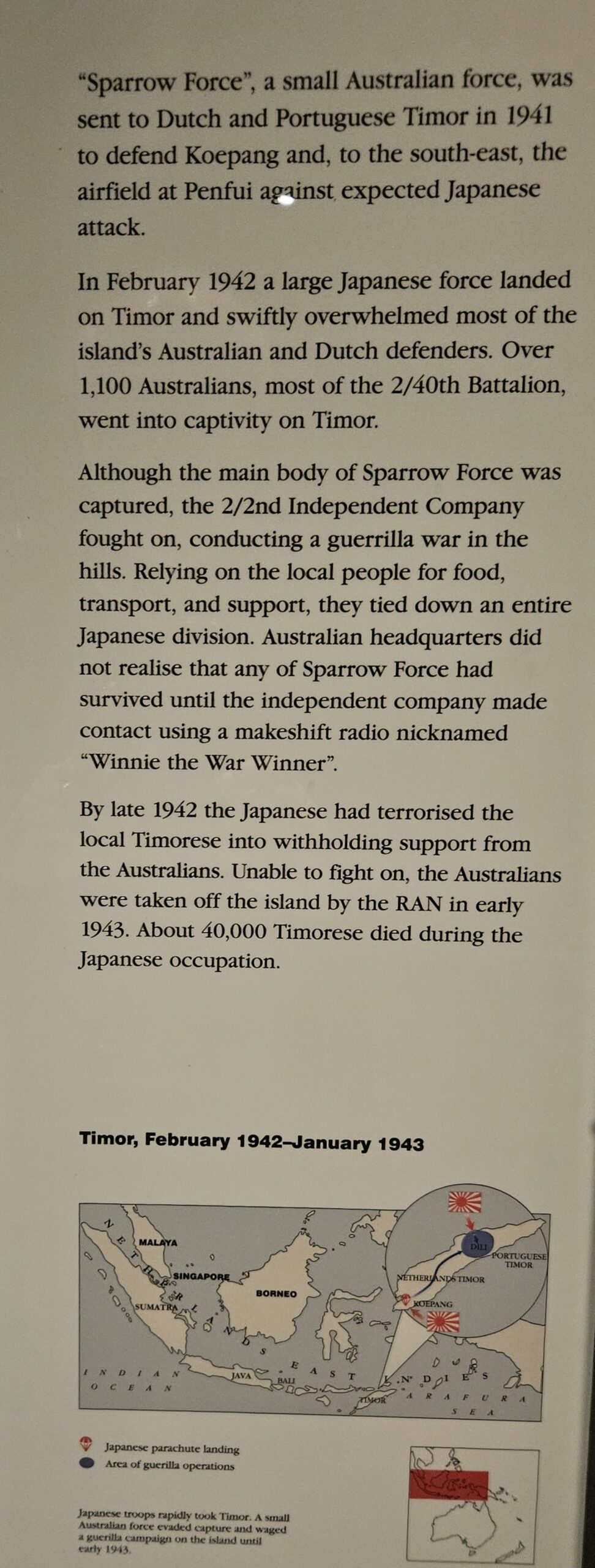 Sparrow Force - Allied guerrilla force in Timor WWII - Dutch Australia ...