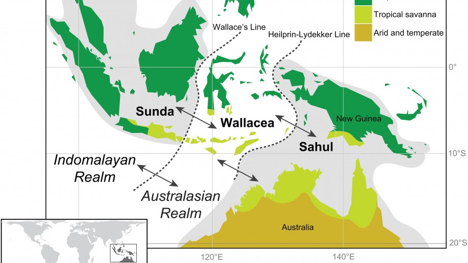 The zoological Lydekker's Line - Dutch Australia Cultural Centre