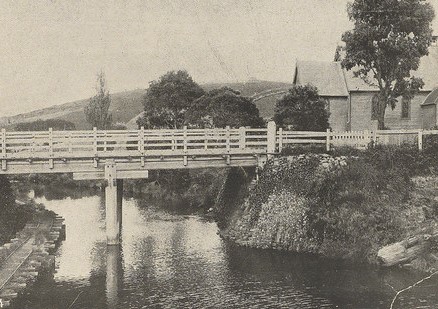 Newsletters from the First Reformed Church in Australia: Penguin ...